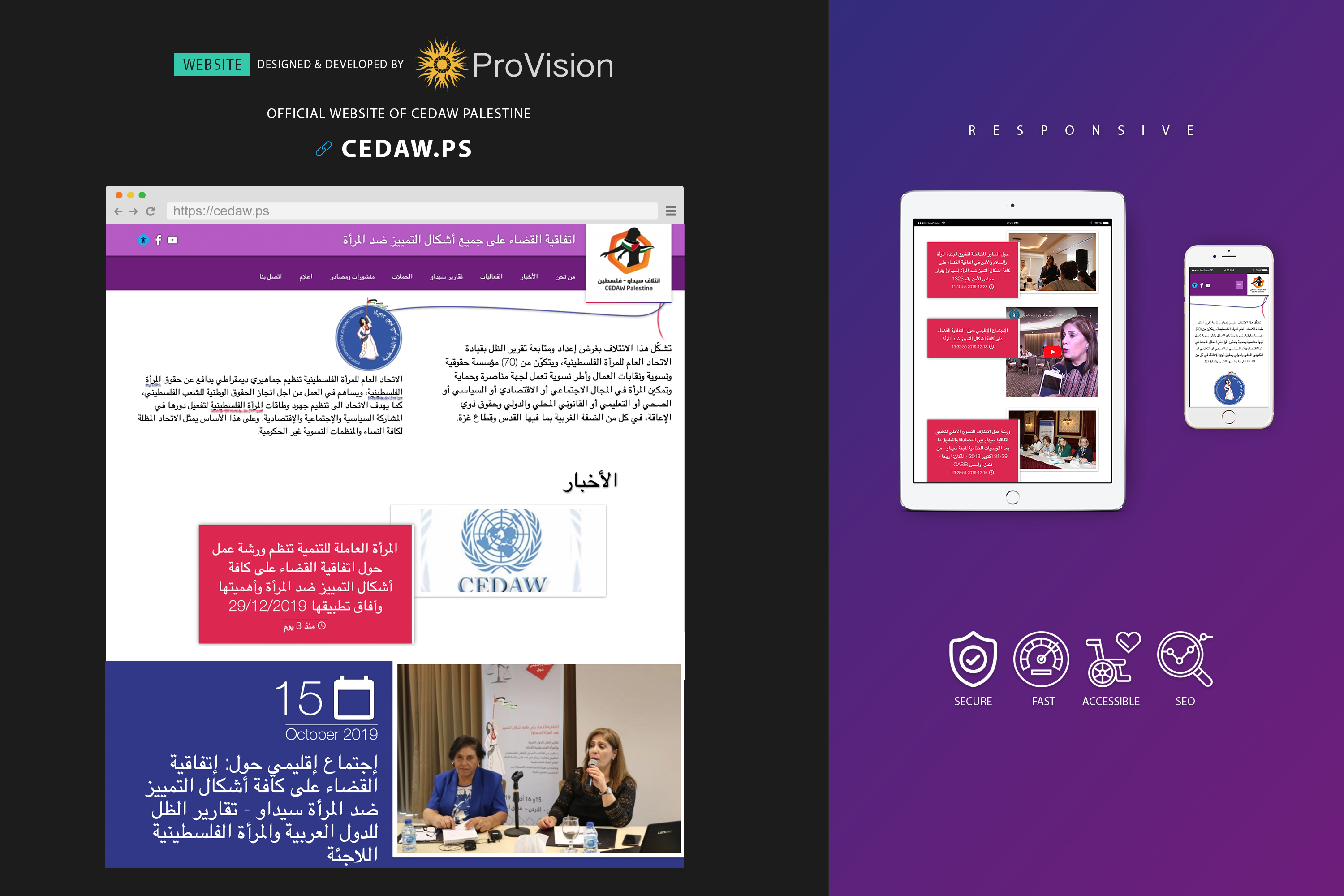 ProVision for Websites & Mobile Apps Design and Development | CEDAW ...